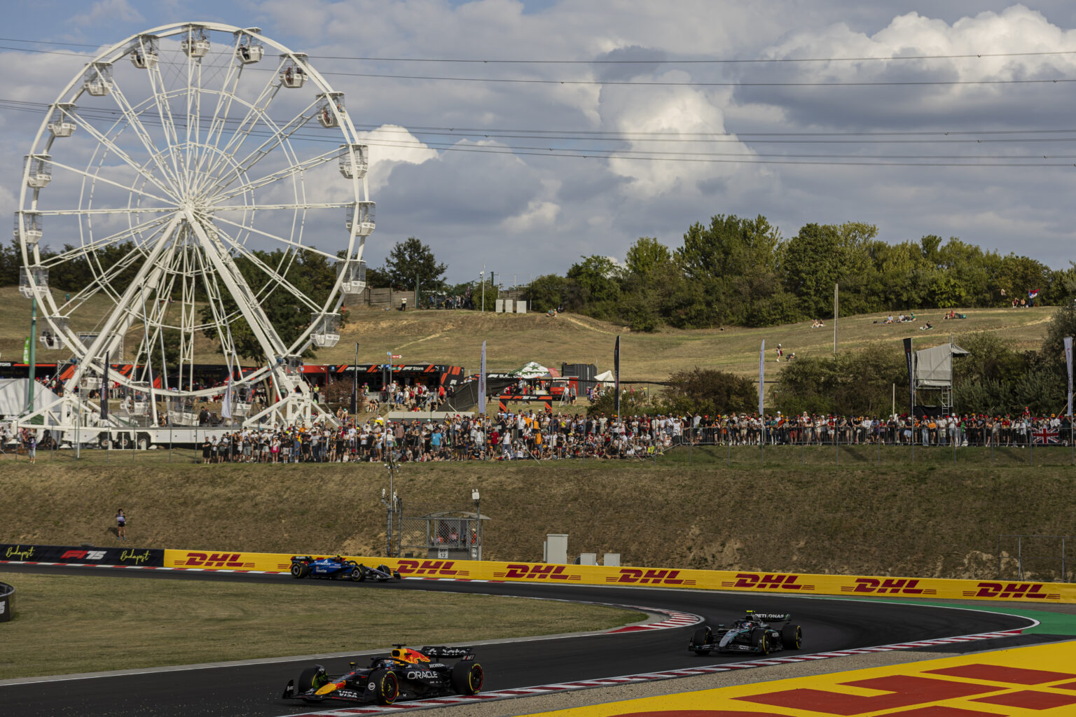 Max Verstappen’s Hungarian Grand Prix data reveals a ‘rather striking ...